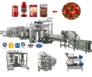 Turnkey Tomato Ketchup Production Line-Everything Need to Know