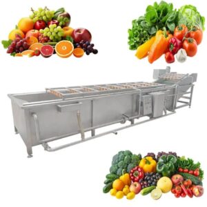 The Essential Guide to Fruit and Vegetable Processing