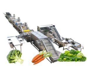 The Essential Guide to Fruit and Vegetable Processing